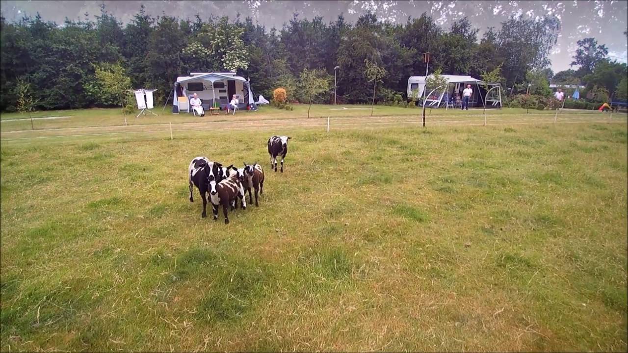 Camping Bergwever 50 plus camping Haarle - YouTube