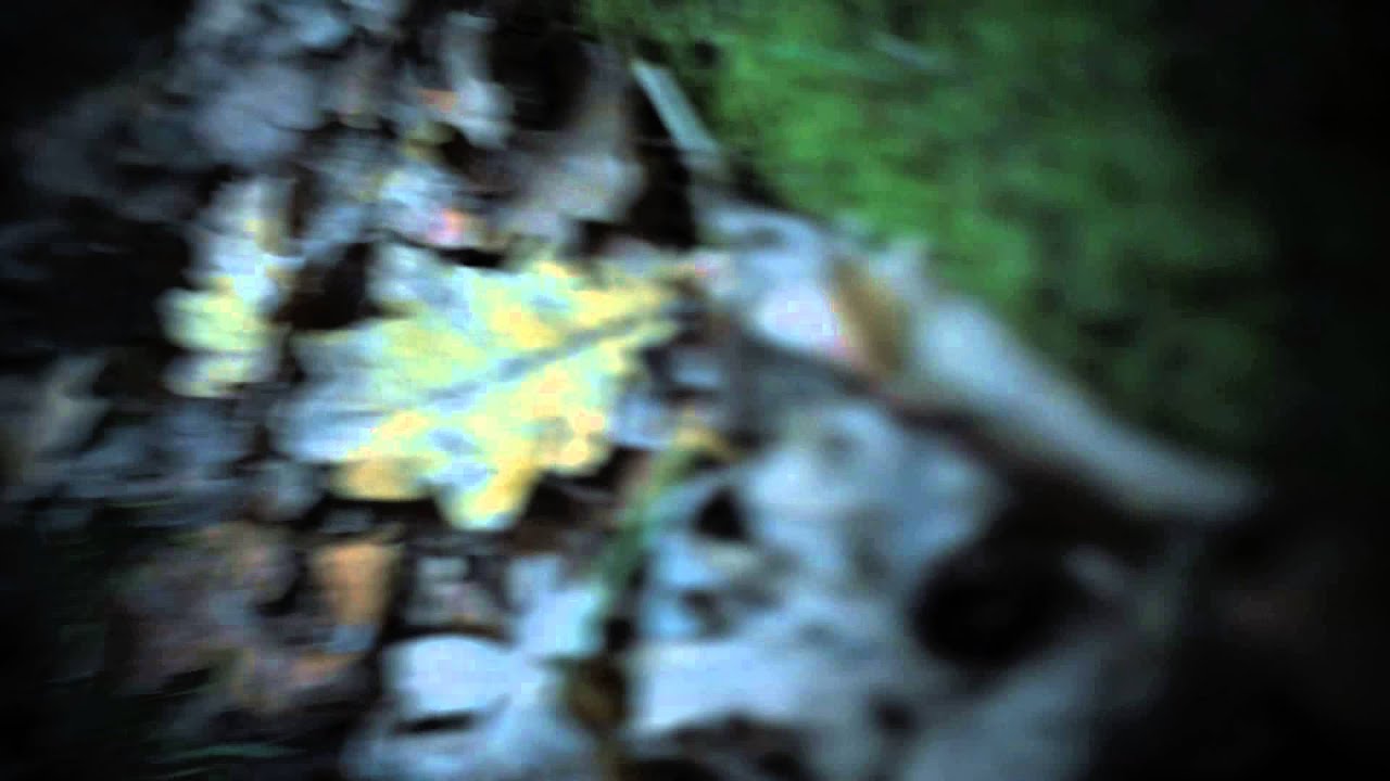TV Ident - After Effects - YouTube