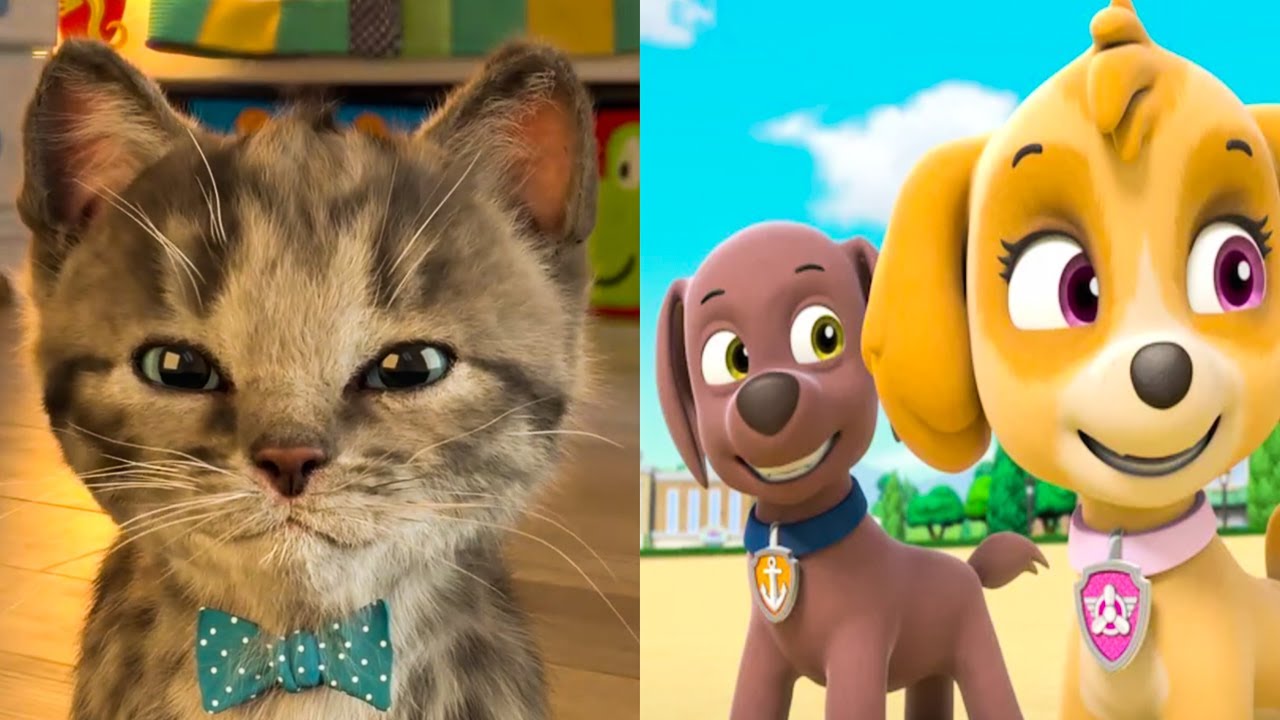 Little Kitten & Friends - Learn with the cutest cat! vs PAW Patrol On A ...