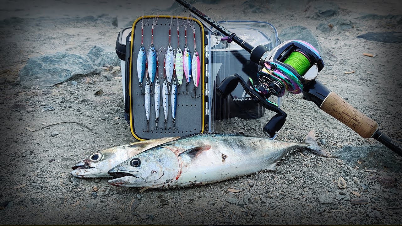 **MAJOR CRAFT JIGPARA MICRO 15G** -- Micro Shore Jigging for Multi ...