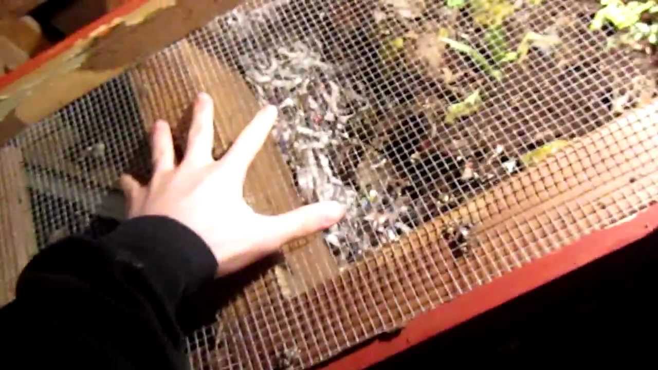 Homemade Worm/Compost Harvester: DIY At Home - YouTube