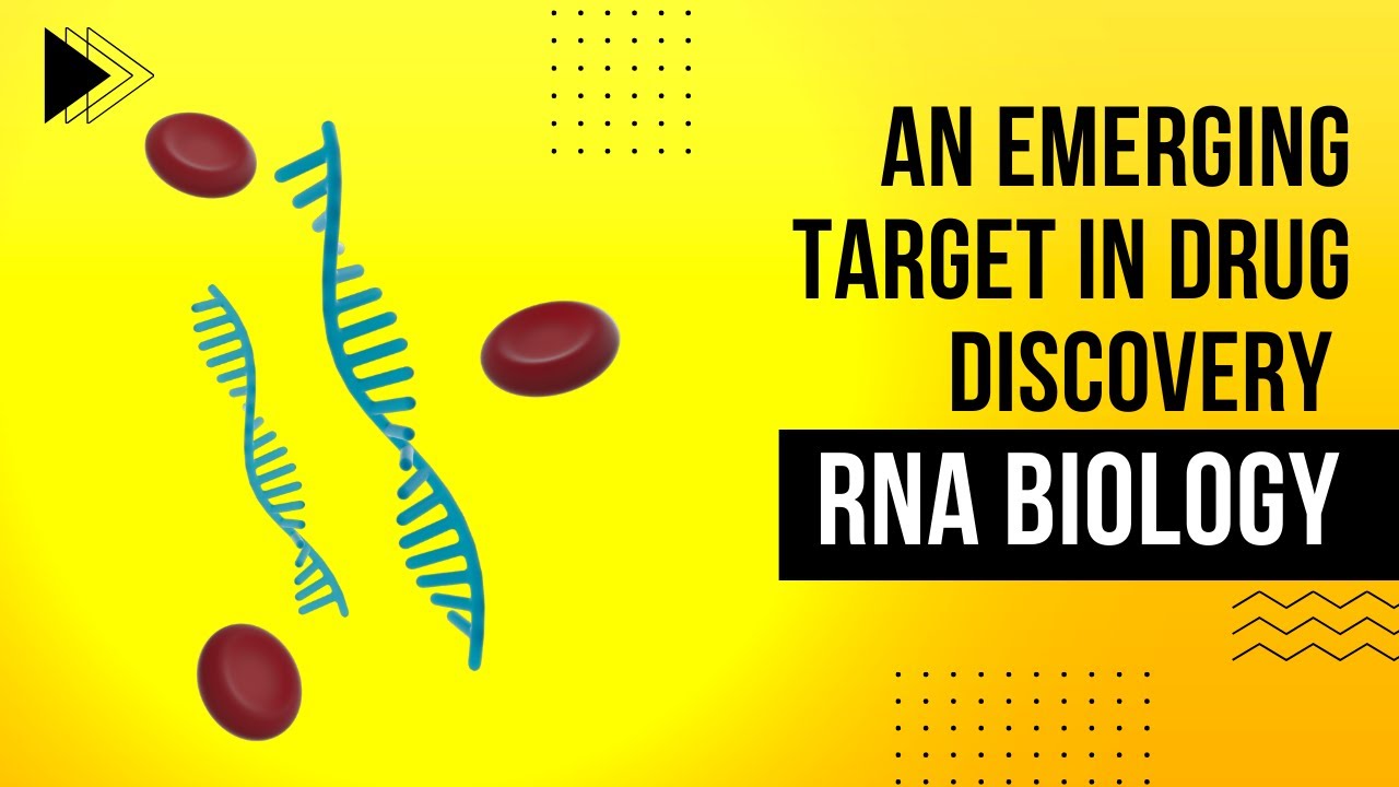 RNA Biology : An Emerging Target in Drug Discovery - YouTube