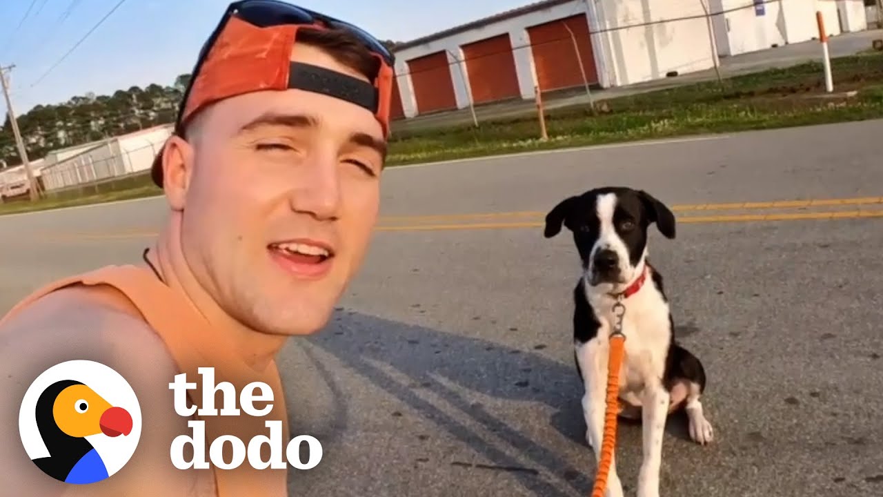 Man Magically Gets Every Shelter Dog Adopted | The Dodo - YouTube
