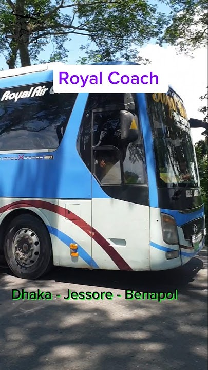 Royal Coach // Hyundai // #shorts // #transporttalker - YouTube