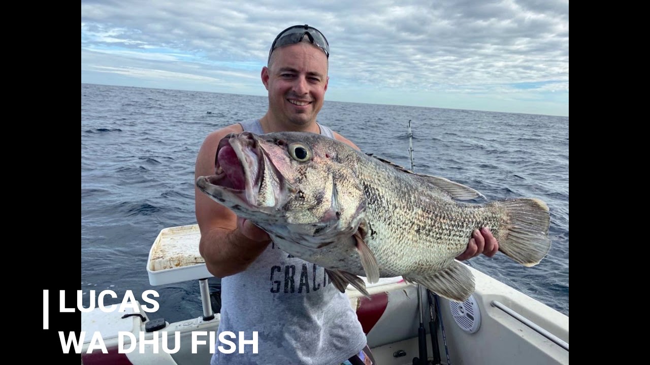 Fishing for dhu fish various trips (perth metro and bunbury) - YouTube