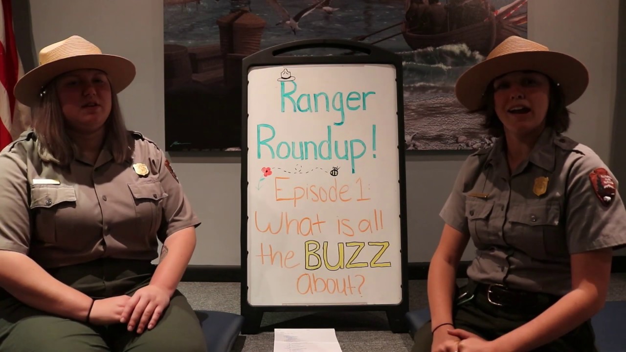 Ranger Roundup: What is All the Buzz About? (Ep. #1) - YouTube
