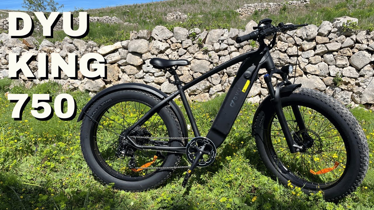 A FANTASTIC Gift from DYU CYCLE | King 750 Unbowing & Review - YouTube