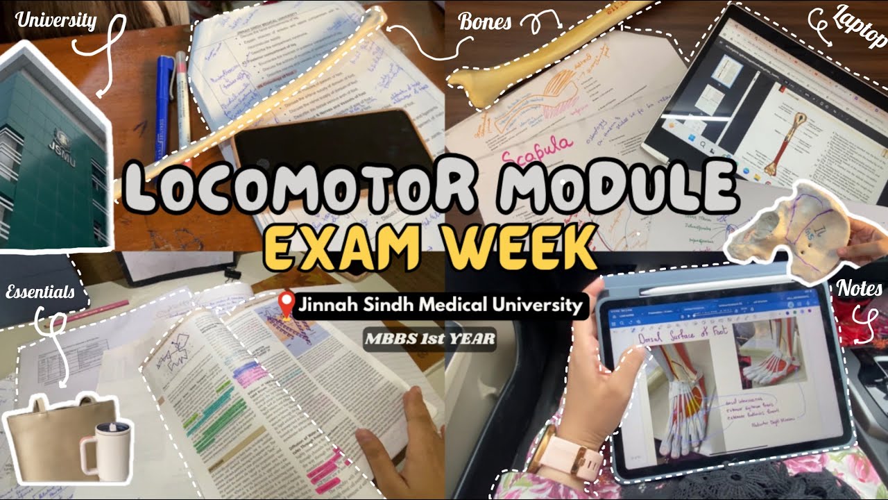 Locomotor Module Exam Week in MBBS | JSMU Medical Student Vlog | MBBS ...