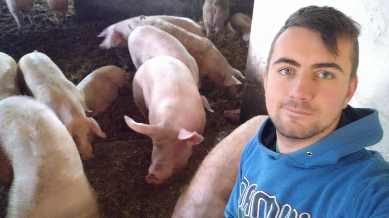 RolniczaDniówka #1 - odganianie macior, szczepanie drewna, budowa domu ...