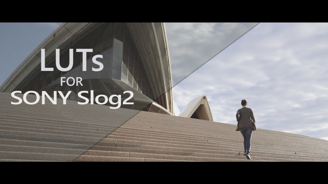 Sony Slog2 Lut Downloads