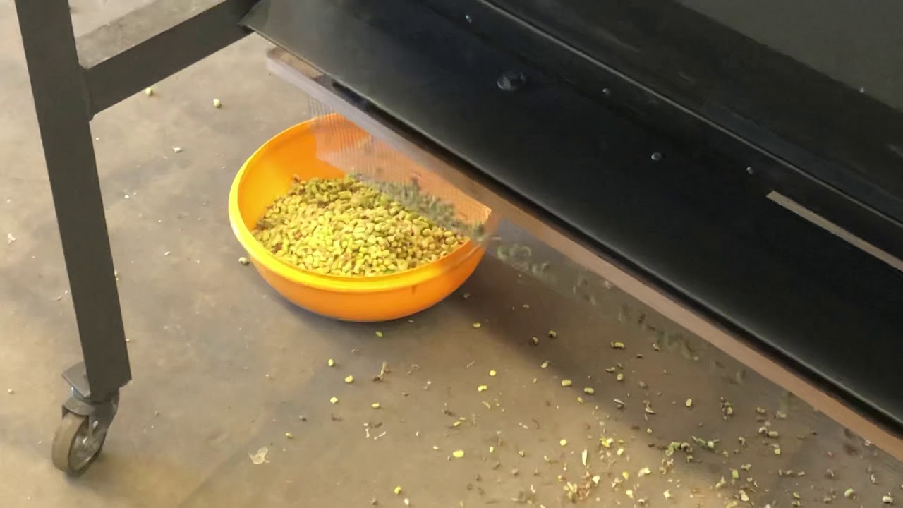 Courtney’s homemade pea sheller - YouTube