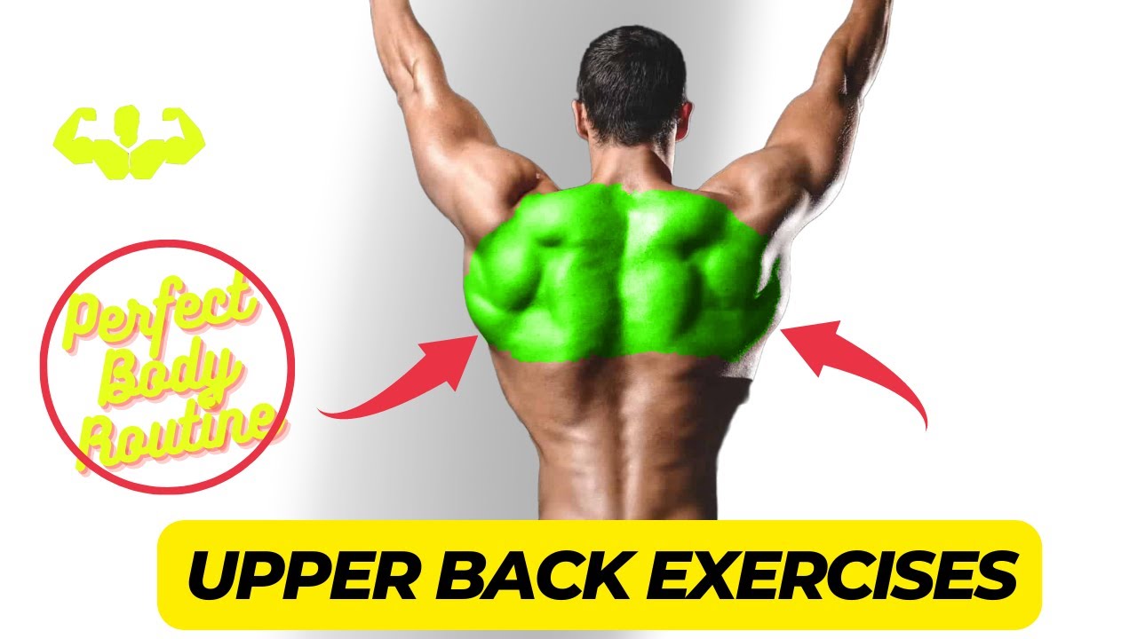Strong and Sculpted: Upper Back Workout - YouTube