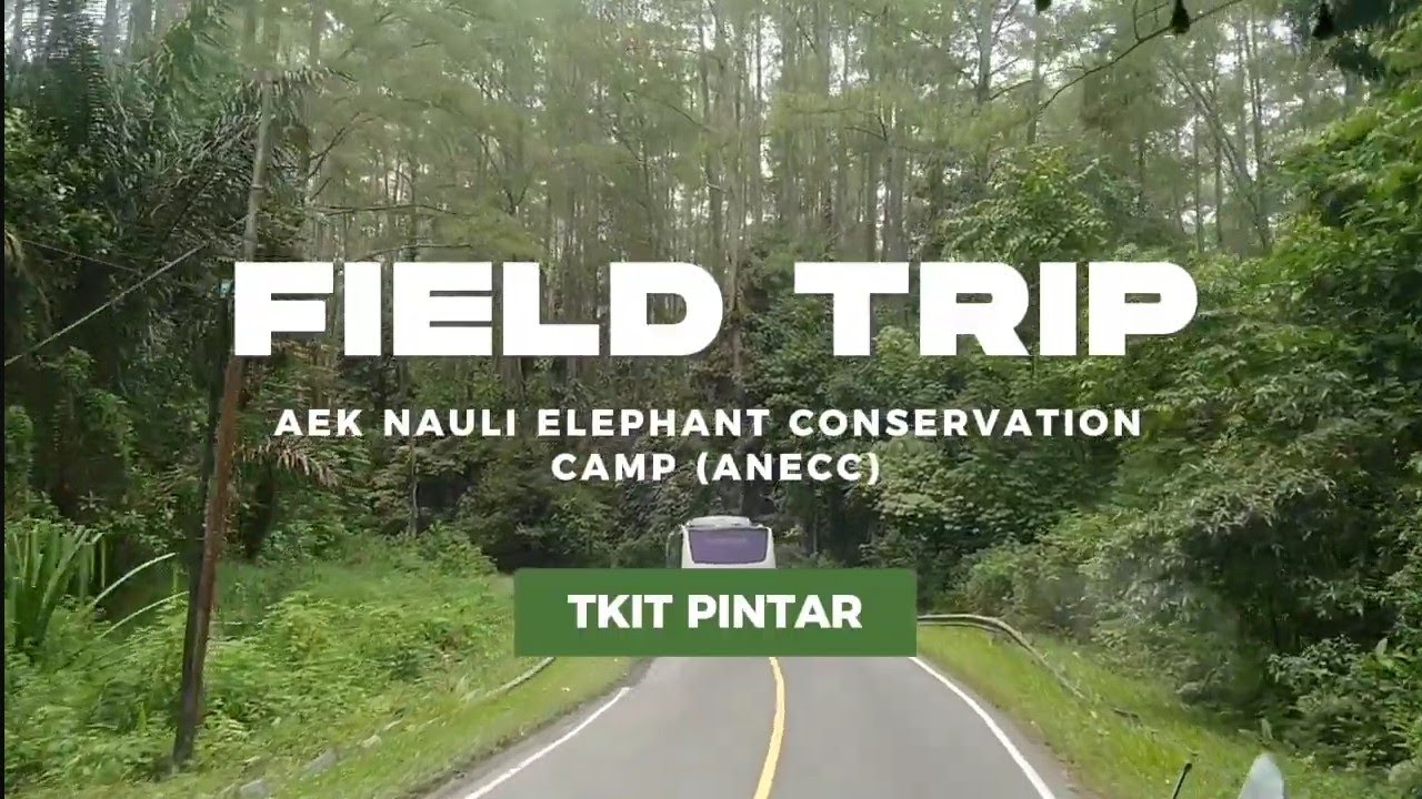 Field Trip ke Aek Nauli Elephant Conservation Camp (ANECC) - YouTube