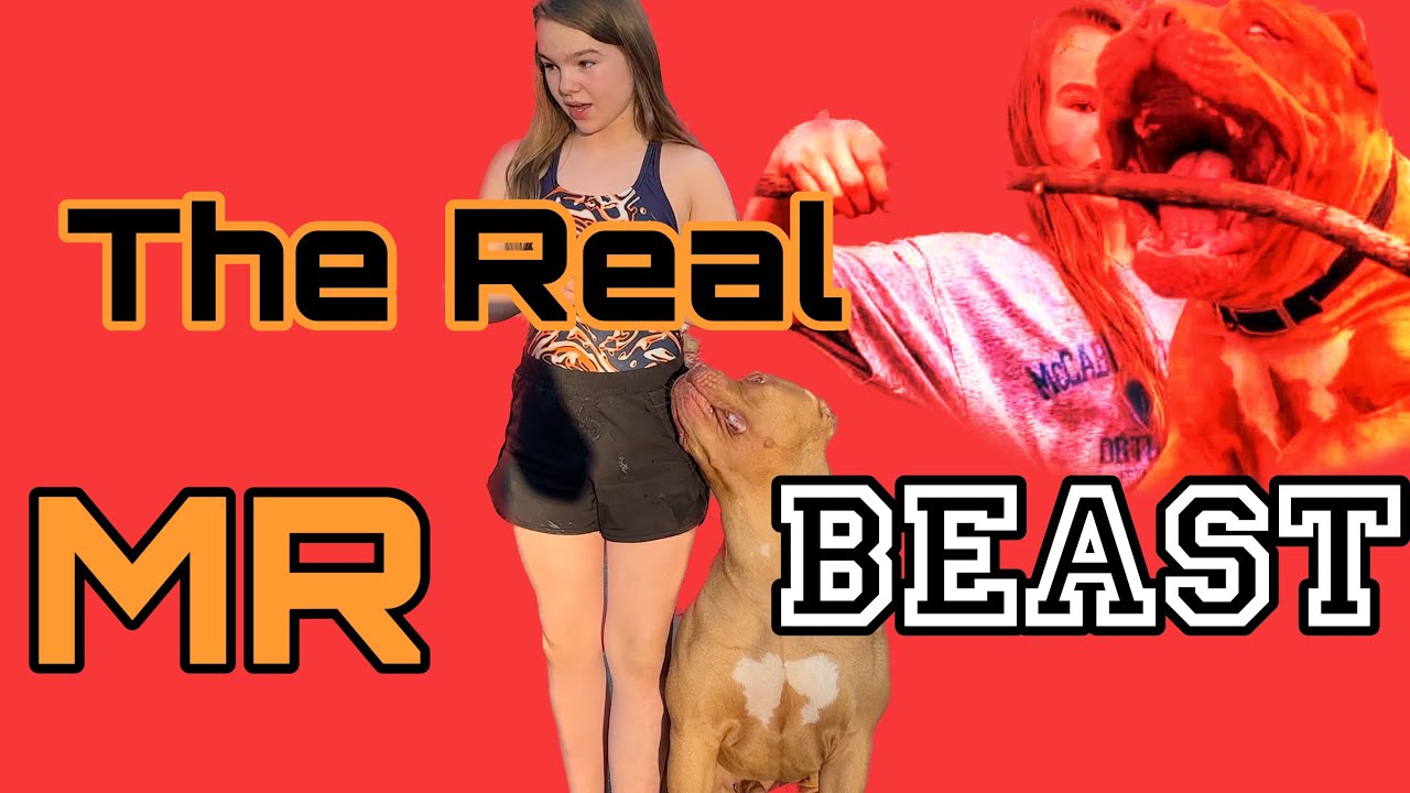 Training the Uncontrollable: Meet the Real Mr. BEAST! - YouTube