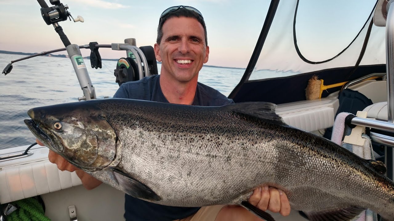 MONSTER KING SALMON ON LAKE MICHIGAN! - YouTube
