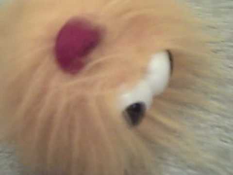 orange alien furrball - YouTube