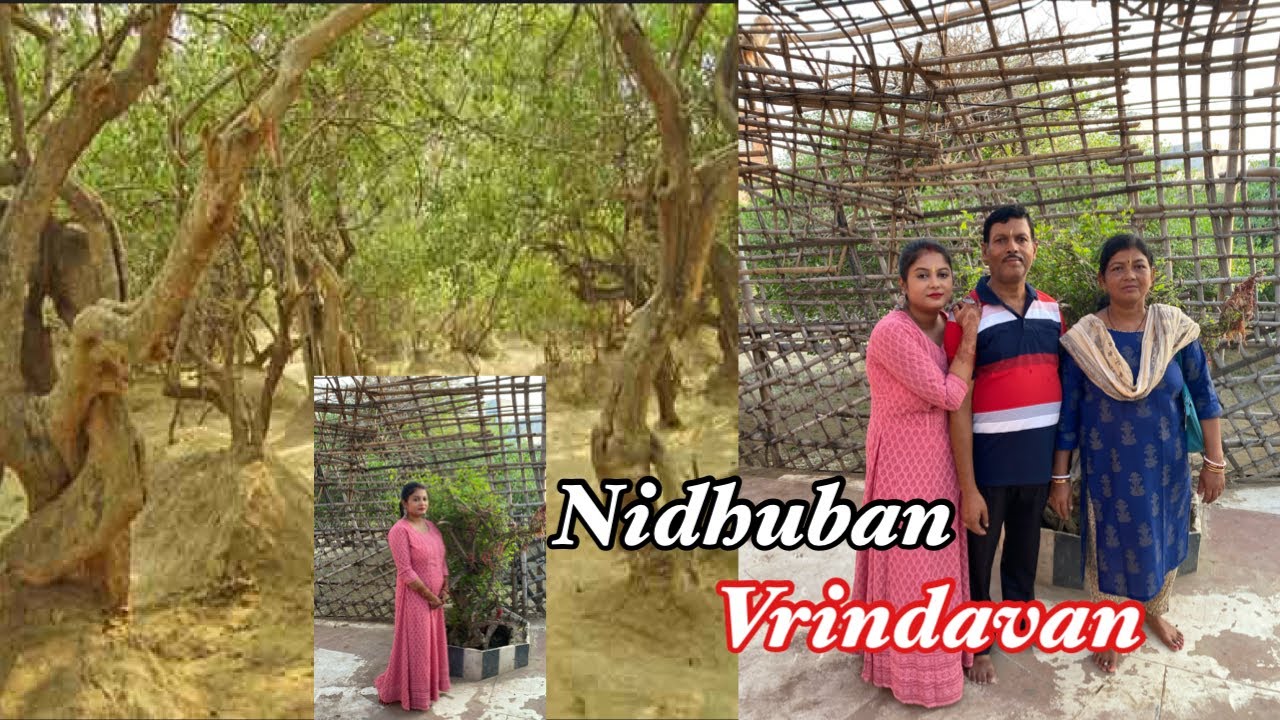 Brindavan Nidhuban/Nidhiban का पूरा जानकारी🥰Full nishuban tour In ...