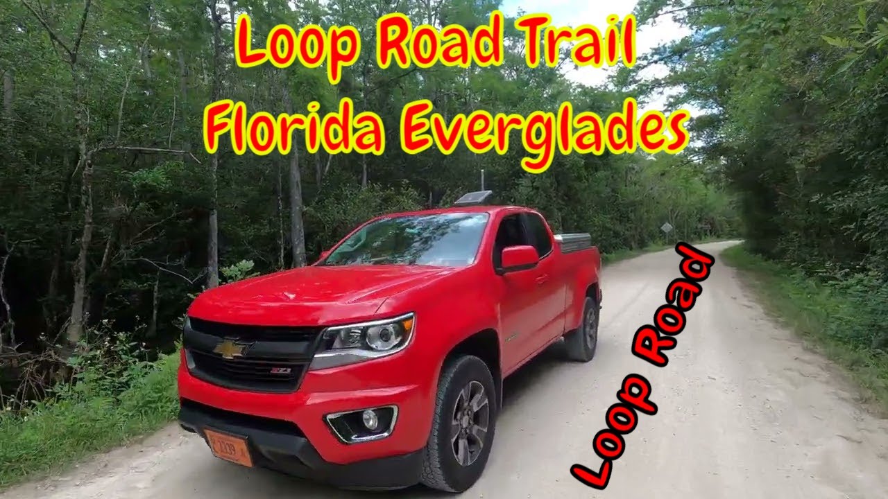 Loop Road: Florida Everglades Backcountry Adventure - YouTube