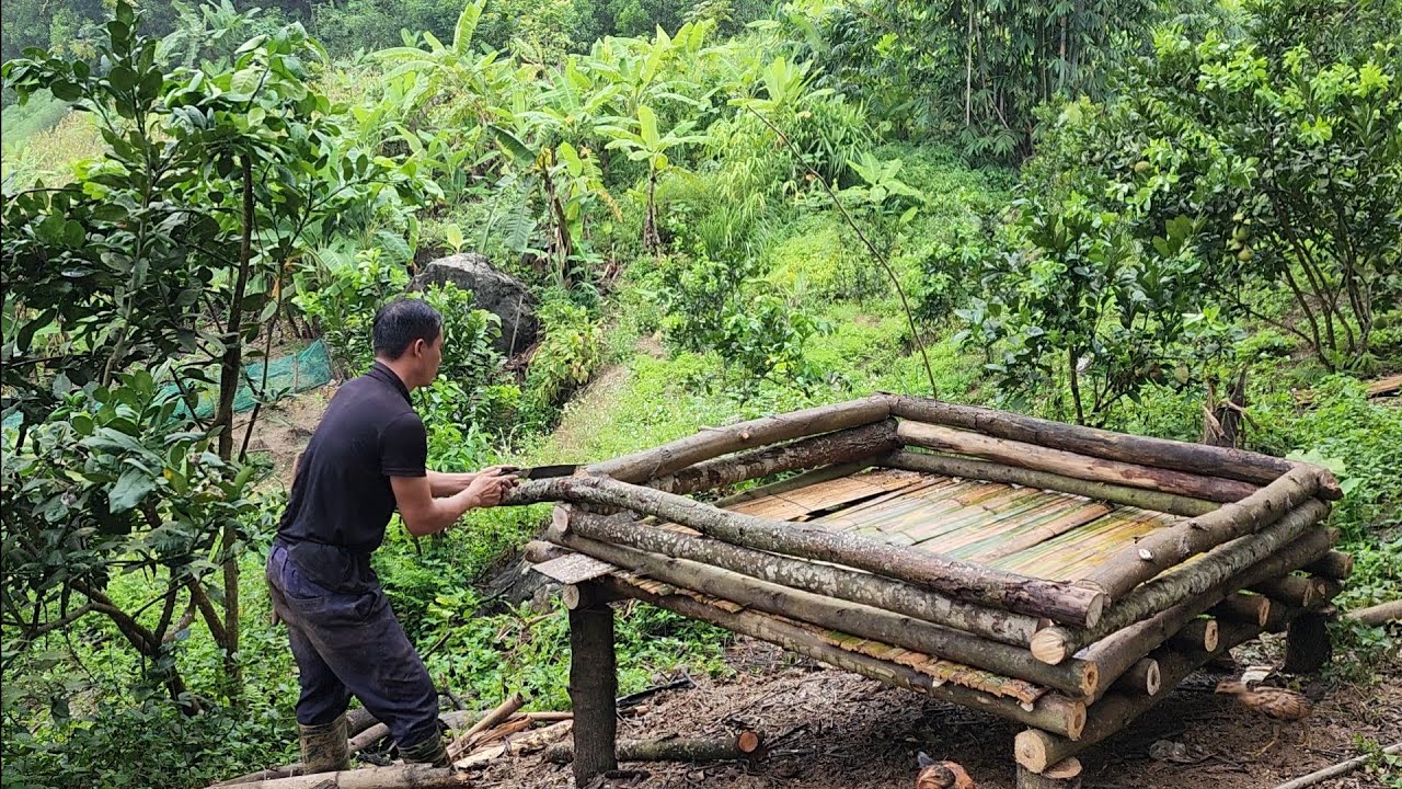 Building a Storage of Corn for the Coming Harvest Days, Survival ...