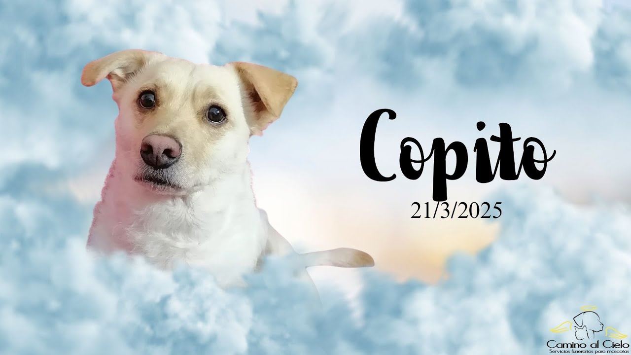 VIDEO CONMEMORATIVO DE COPITO - YouTube