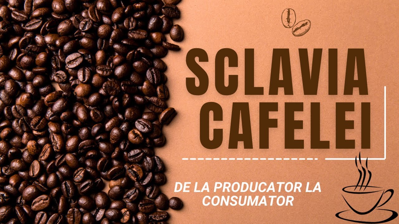 SCLAVIA Cafelei. O Calatorie de la Producator la Consumator - YouTube