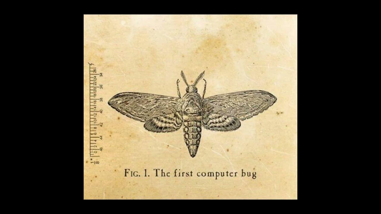The First Computer Bug Was a Real Insect😲 #shorts #facts #viralvideo ...