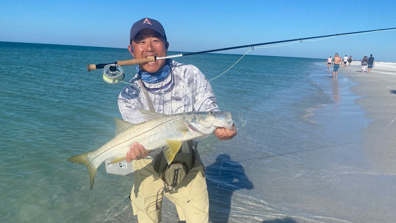 Snook Fly Fishing on Siesta Key - YouTube