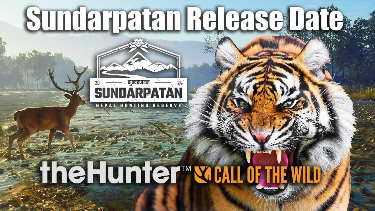 Sundarpatan Nepal Missions Part 1 - Stream - Call of The Wild - YouTube