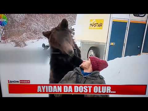 Ayidanda dost olur