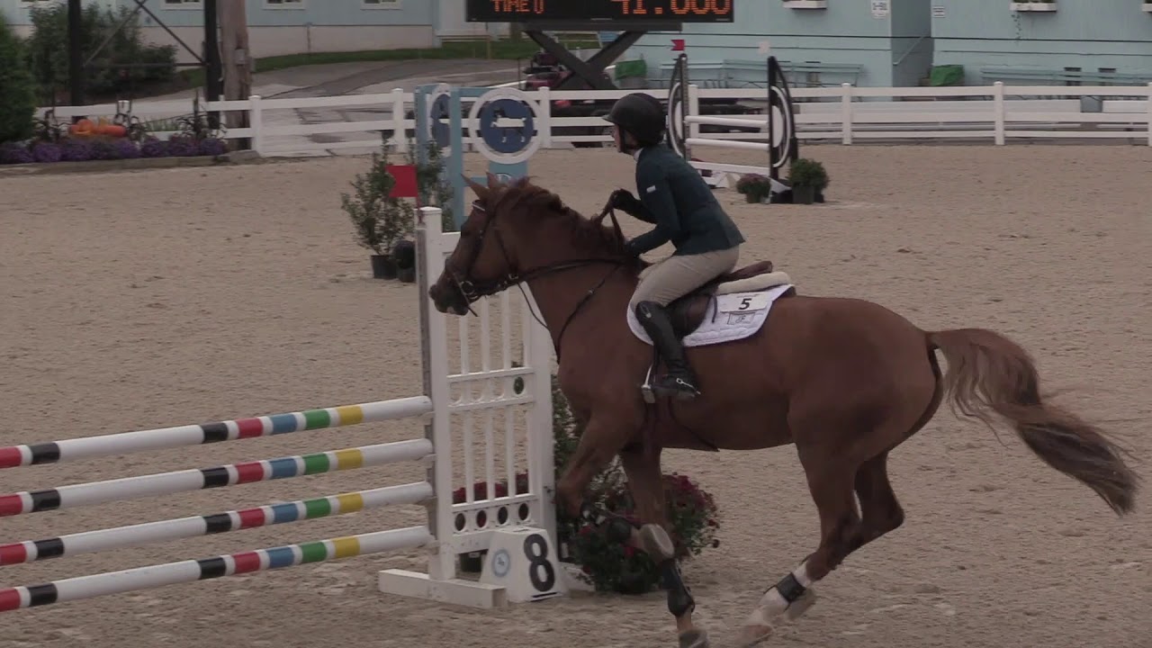 CAROLINA Z ridden by Hope Batchelor 1 00m Jumper 9:14:17 Devon Fall ...