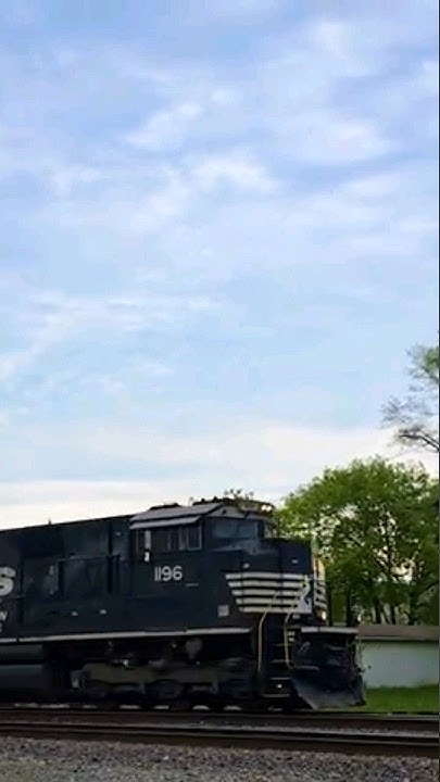 NS 1196 #train - YouTube