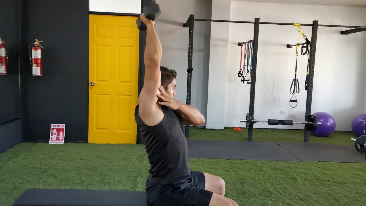 Copa Individual Mancuerna/ Unilateral Overhead Dumbell Triceps Press ...