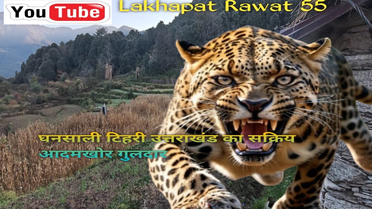 MEN EATER LEOPARD OF GHANSALI TIHARI UTTARAKHAND - YouTube