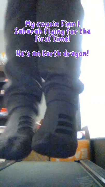 Im sorry i havent posted in a while i was grounded#fairy #fairytiktok #fairytok#fairyshort # ...