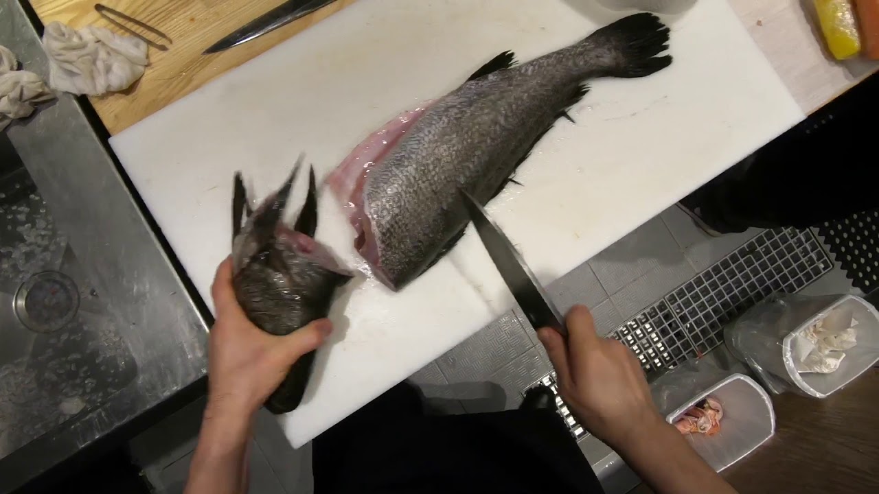 Fileteando totoaba 2. #chefview #pescasustentable - YouTube