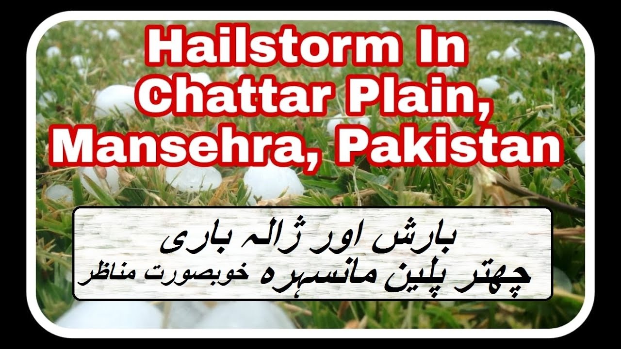 RAIN & HAIL Storm at Chattar Plain with ⚡THUNDER⚡ Chattar Plain ...