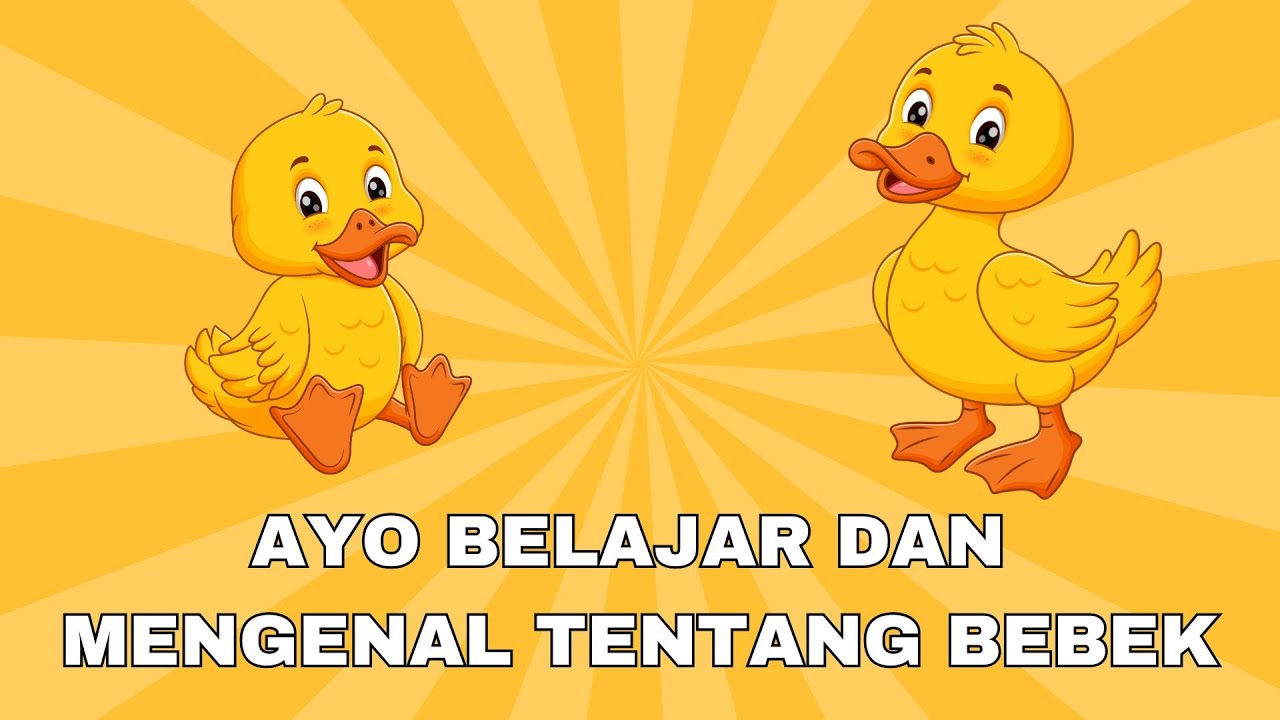 AYO BELAJAR DAN MENGENAL TENTANG BEBEK - YouTube