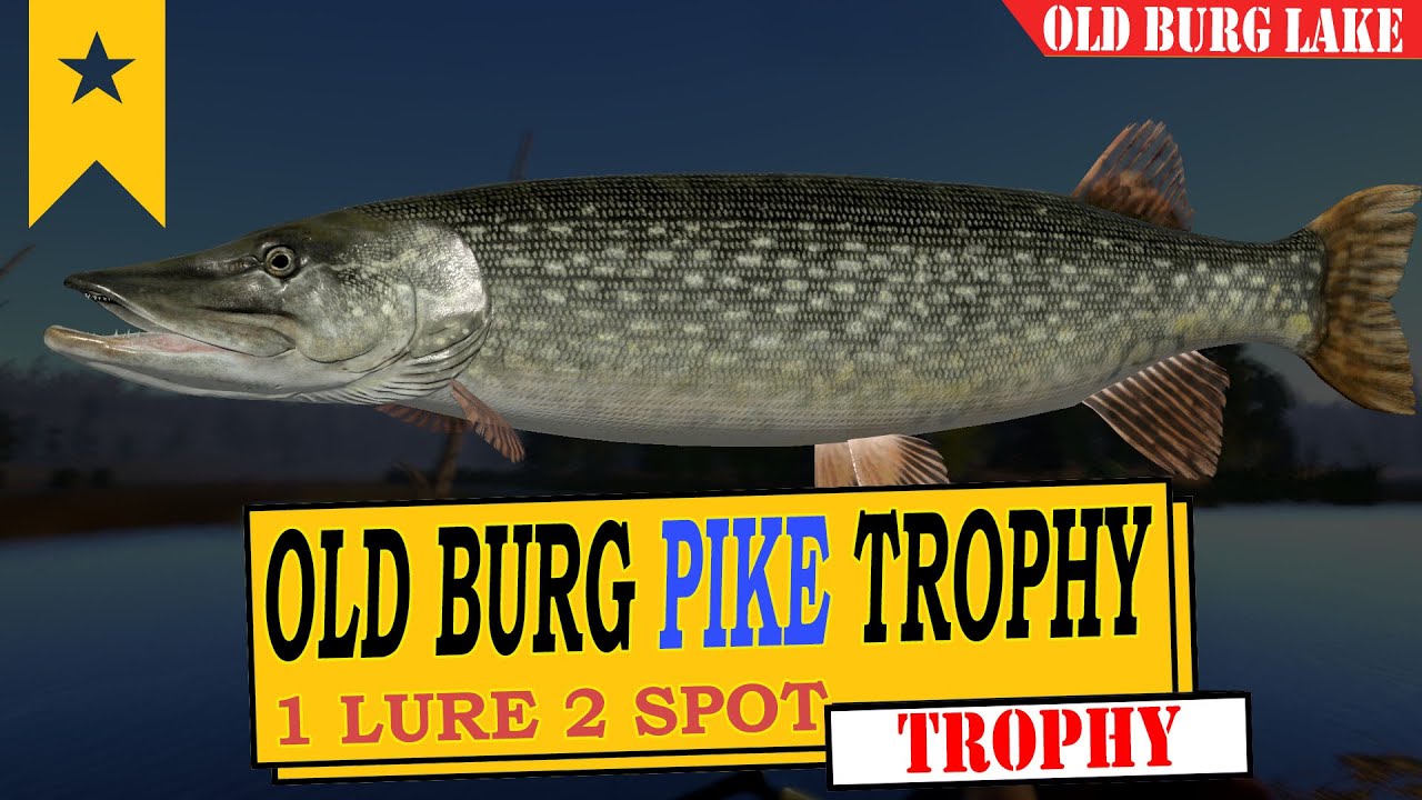 RF4 - Russian Fishing 4 - Pike - Trophy - Old Burg Lake - YouTube