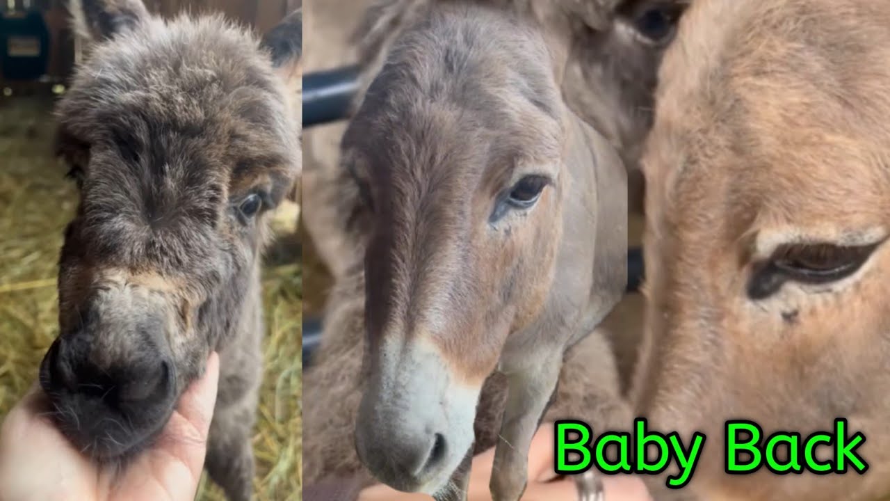 Throwback to baby Tilly 😍 - YouTube