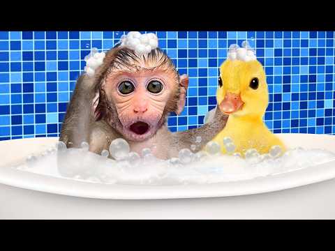 Minik Maymun BonBon ve Ördek Köpük Banyosunda 😱🛁| Bonbon и друзья