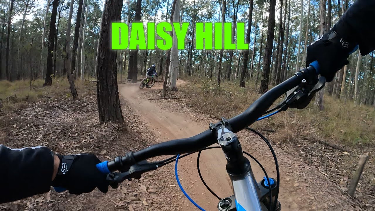 Daisy Hill MTB TRAILS AUSTRALIA | CHIPLINE | BRONZE WING | BEE'S KNEES ...