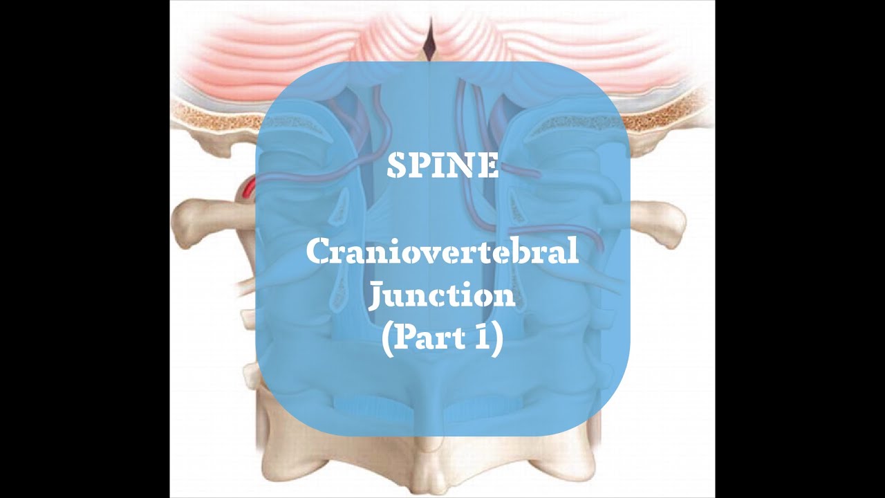 Neurosurgery Basics Lecture : Craniovertebral Junction Part 1 - YouTube
