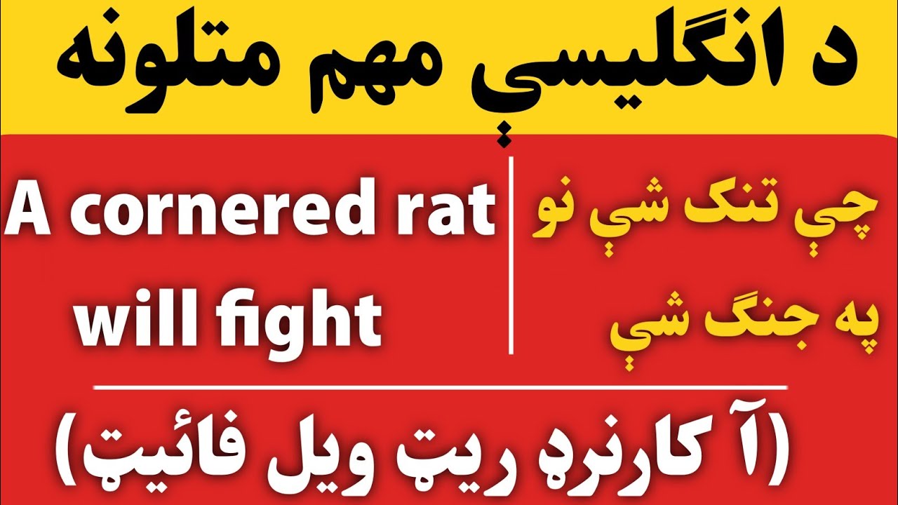 Pashto proverbs in English | د پښتو متلونه په انګلیسي کې - YouTube