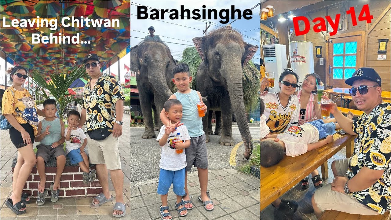 Time to Say Goodbye | My Final Moments in Chitwan #nepalidiaries # ...