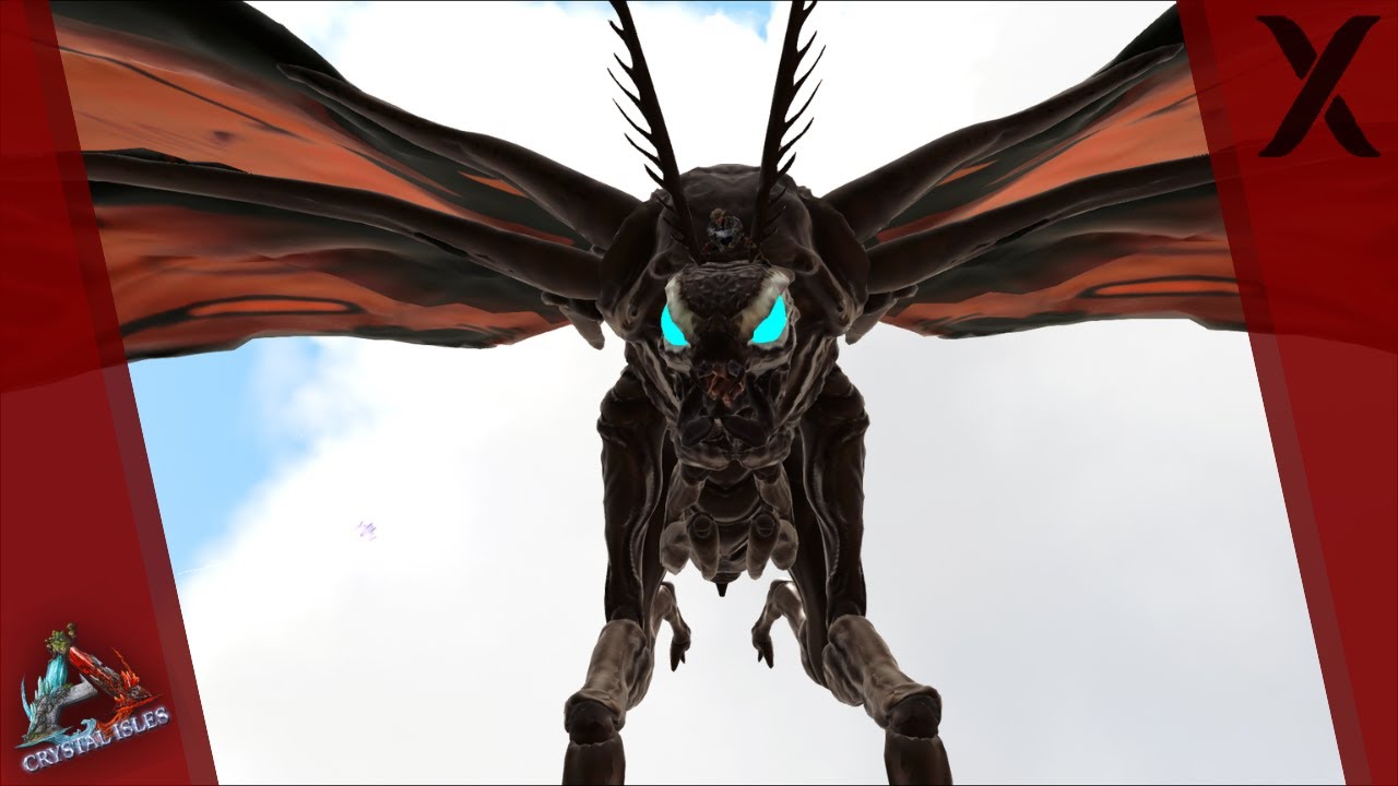 I'M BACK AND I BROUGHT MOTHRA! THE QUEEN OF THE MONSTERVERSE!- Ark ...