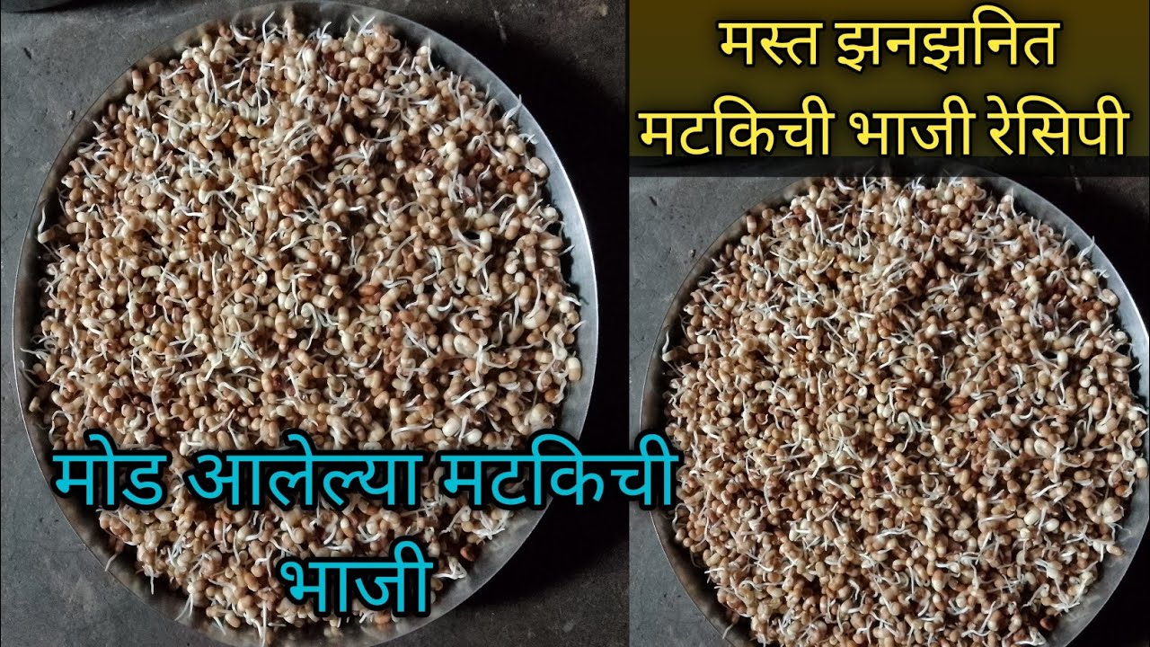 पावसाळ्यात खुप छान झनझनित मटकिची भाजी| matki chi bhaji recipe in ...
