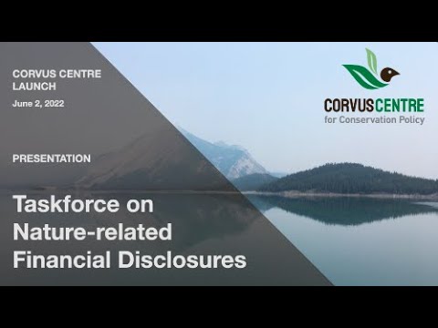 Taskforce on Nature-related Financial Disclosures - YouTube