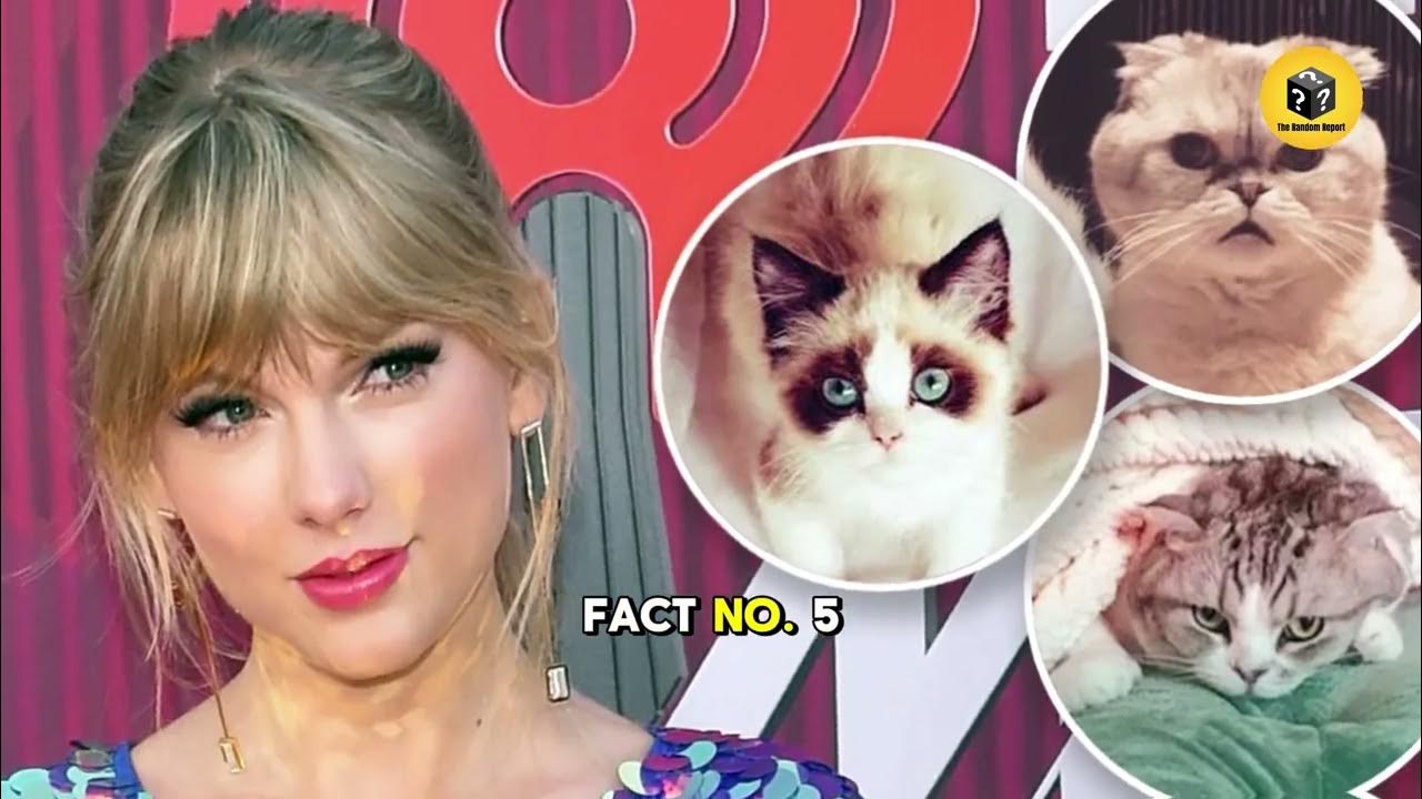 10 Interesting Facts About Taylor Swift - The Biggest Artist In The ...