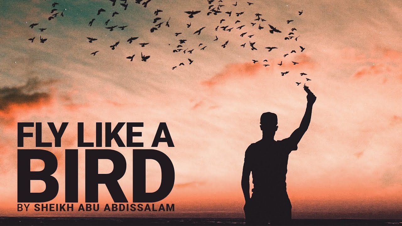 Fly Like A Bird - TRAILER (2024) - YouTube