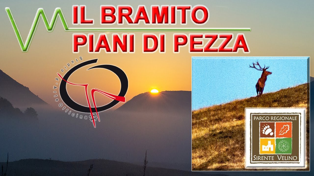 OFFICINA77: Il Bramito del Cervo | Parco Naturale Regionale Sirente ...